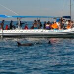 Whale and Dolphin Watching with a Biologist in Puerto Vallarta - The Sum Up