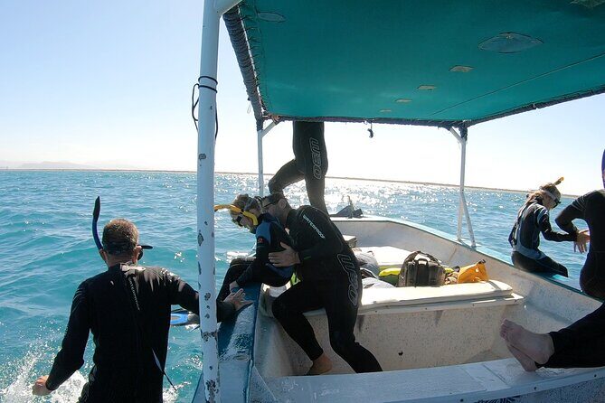 Whale Shark Swimming Adventure: Small Group with Marine Biologist - Who Will Love This Tour?