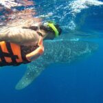 Whale Shark Tour from Cancun and Playa Del Carmen - Final Thoughts