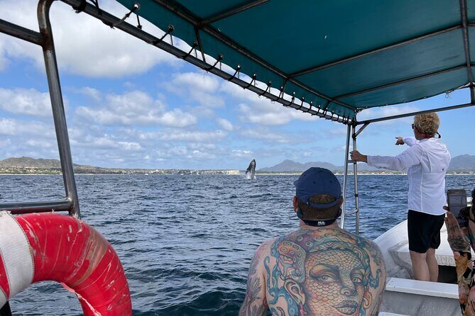 Whale watching - Why This Tour Works Well