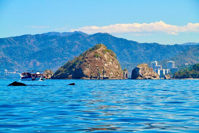 Whale Watching and Los Arcos 5 Islands Adventure - The Itinerary: A Closer Look