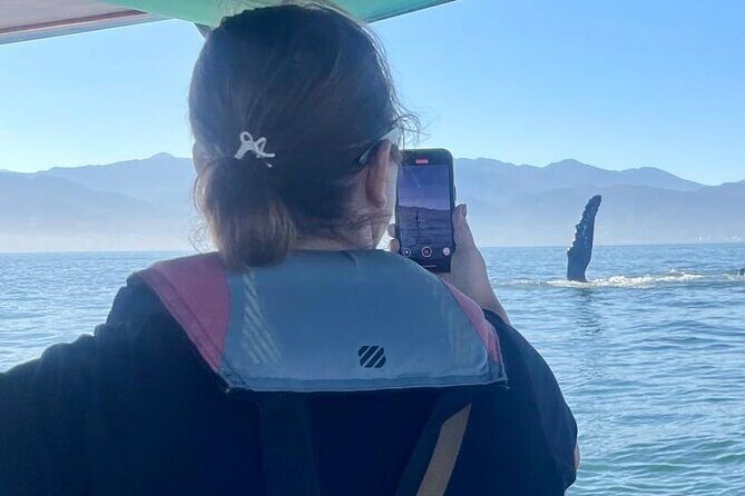 Whale Watching Experience in Puerto Vallarta - Final Thoughts