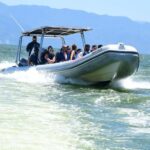 Whale Watching Guaranteed Experience in Puerto Vallarta - Who Should Consider This Tour?