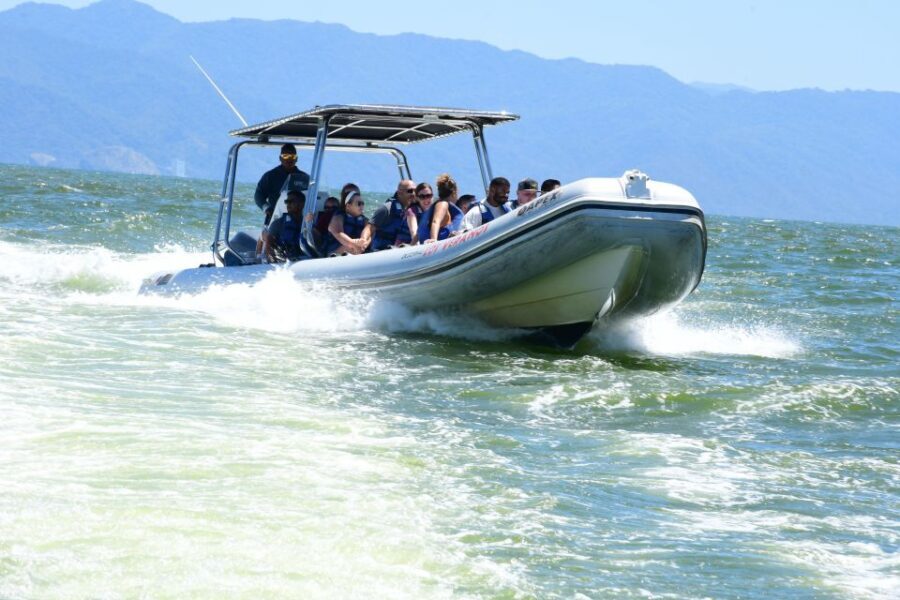 Whale Watching Guaranteed Experience in Puerto Vallarta - Who Should Consider This Tour?