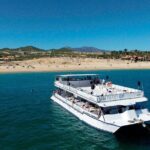 Whale Watching on 2 Level Big Boat with Breakfast and Drinks INCLUDED - Why This Tour Offers Great Value