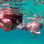 Whale Watching & Snorkeling Combo in Los Cabos with Photos Included - Who Will Love This Tour?