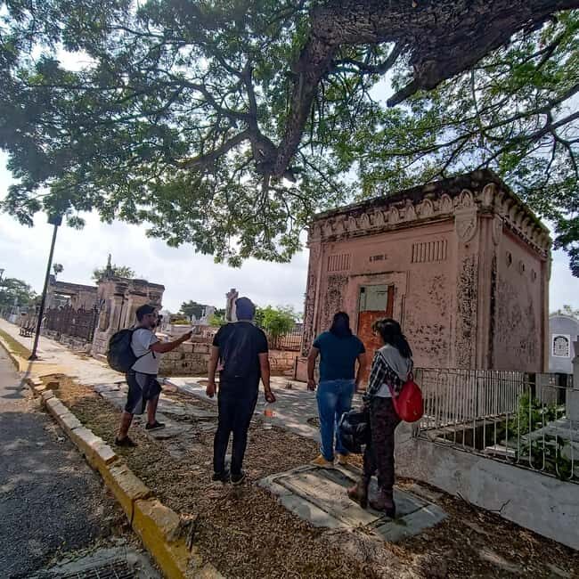 What's Day of the Dead? Merida: Cemetery Tour - Why This Tour is a Great Value