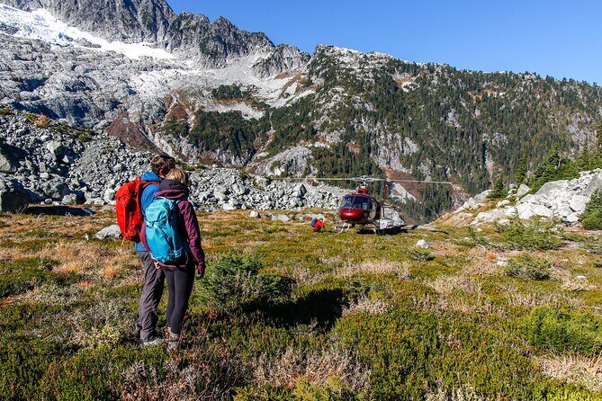 Whistler Guided Day Hiking - What to Expect on the Day