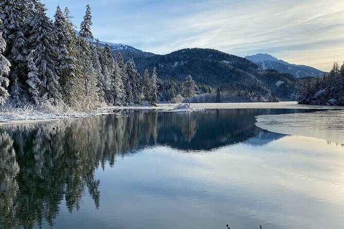 Whistler Half-Day Mountain Bike Tour - Price and Value