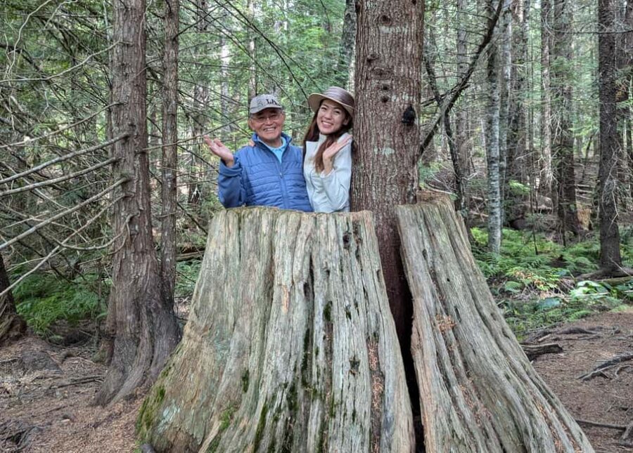 Whistler: Tour, Immersive Nature Experience - Who Will Love This Tour?