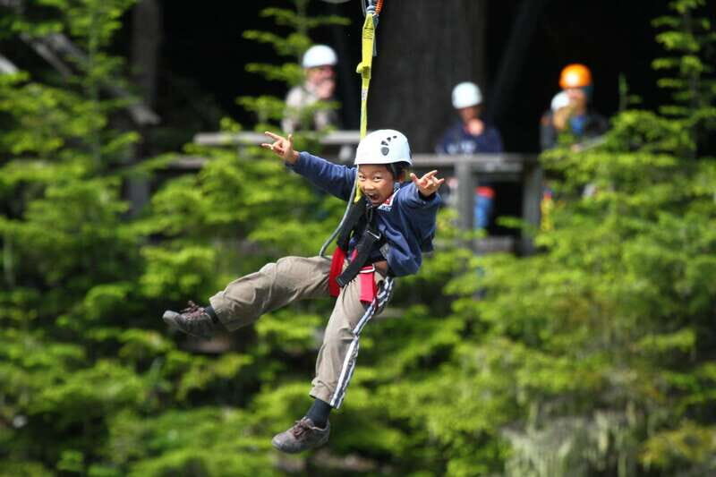 Whistler Zipline Experience: Ziptrek Bear Tour - What You Need to Know Before You Go