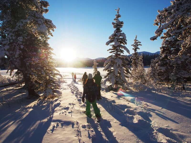Whitehorse: Half-Day Snowshoeing Tour - Miles Canyon and Scenic Backcountry