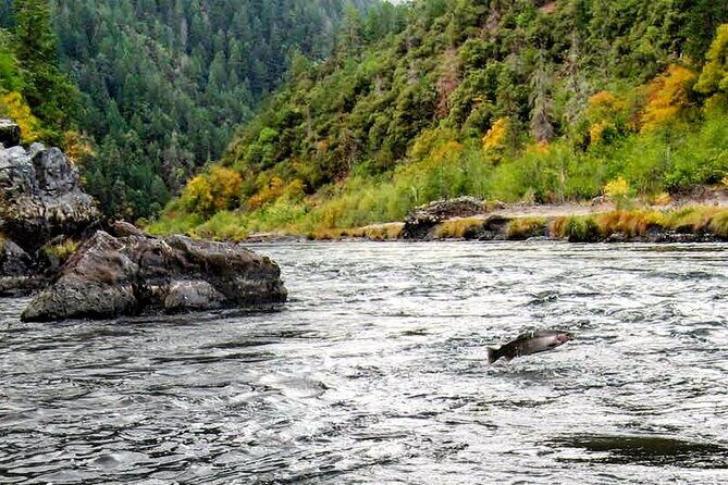 Whitewater Fishing and Rafting Experience in Rogue River - What to Expect on the Trip