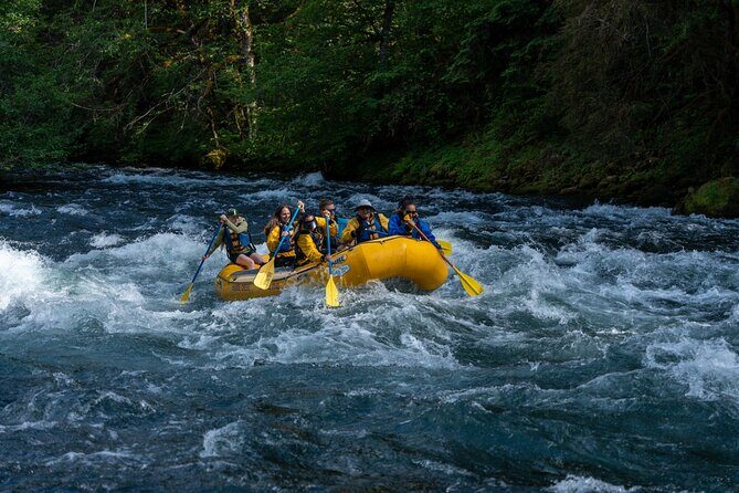 Whitewater Rafting on The McKenzie River - What to Expect on the McKenzie River Rafting Trip