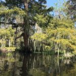 Whitney Plantation and Manchac Swamp Kayak Tour Combo - Why This Tour Offers Great Value