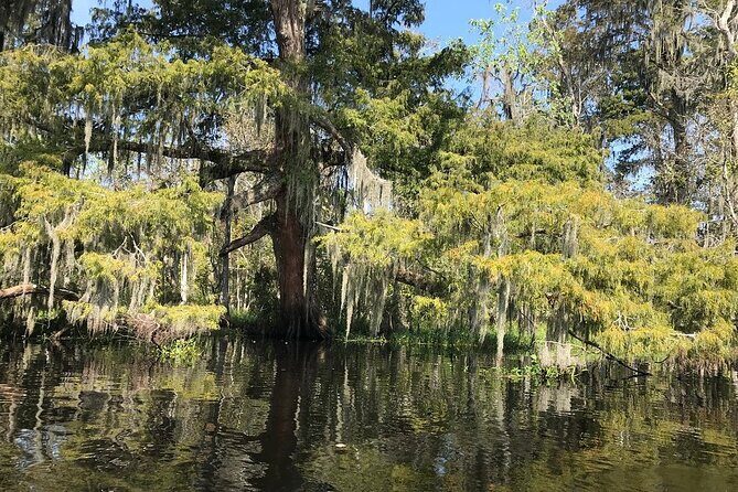 Whitney Plantation and Manchac Swamp Kayak Tour Combo - Why This Tour Offers Great Value
