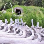 Whittier to Anchorage Cultural Exploration - Final Thoughts: Is It Worth It?