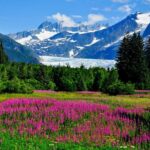 Whittier to Anchorage Post Cruise Wildlife Glacier Tour - What Could Be Better?