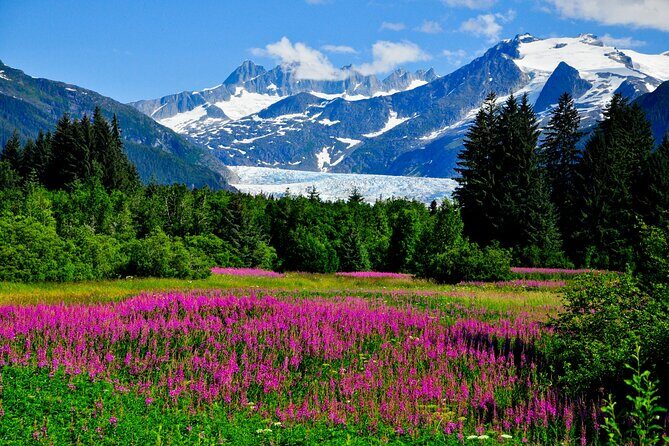 Whittier to Anchorage Post Cruise Wildlife Glacier Tour - What Could Be Better?