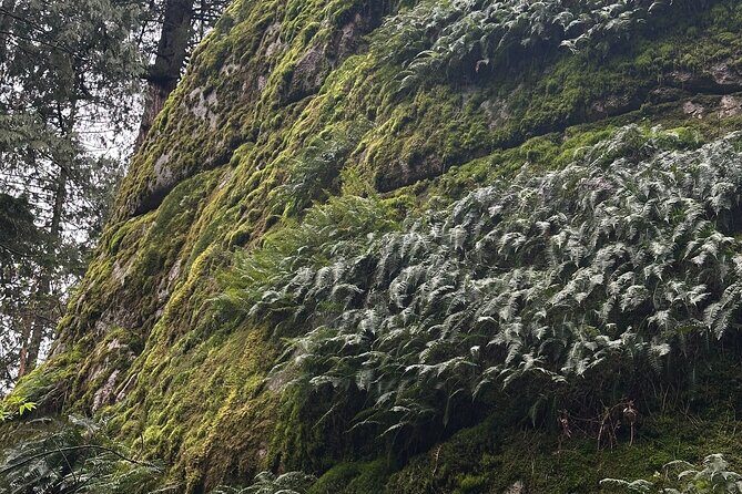 Whytecliff Park Indigenous Salish Sea Walking Tour - Final Thoughts