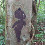 Wild Immersion : Hiking in the Heart of the Tropical Forest - Exploring the Details of This Unique Tour