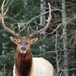 Wilderness and Wildlife Hiking Tour - 3hr Hike - The Logistics: Price, Duration, and Group Size