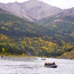 Wilderness: Denali National Park Class I-III Rafting Tour - Who Is This Tour Best For?