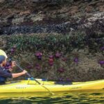 Wildlife Spotting Kayak Adventure on Orcas Island - The Sum Up