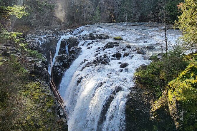 Wildlife, Waterfalls, Caves, Old Growth on Vancouver Island - FAQs