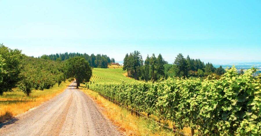 Willamette Valley Wine Tour - A Closer Look at the Itinerary