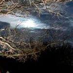 Williamsburg: Dead of Night Paranormal investigations Tour - Who Should Consider This Tour?