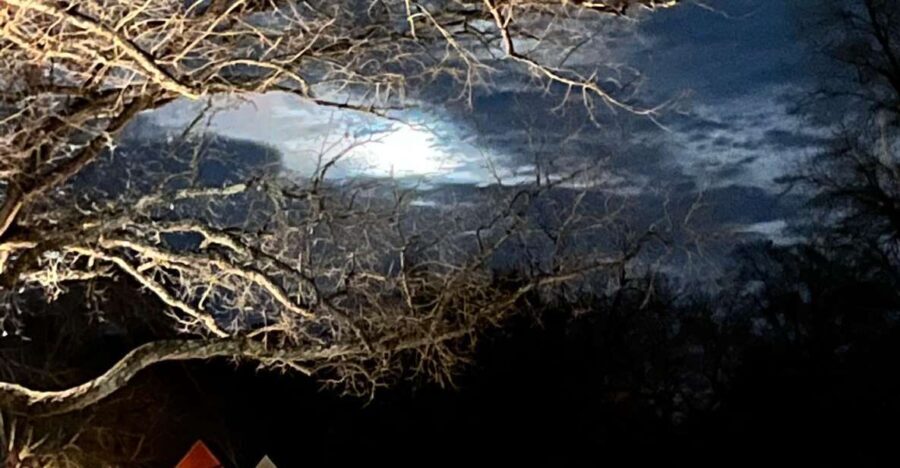 Williamsburg: Dead of Night Paranormal investigations Tour - Who Should Consider This Tour?