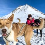 Willow: Traditional Alaskan Dog Sledding Ride - Analyzing the Value and Experience