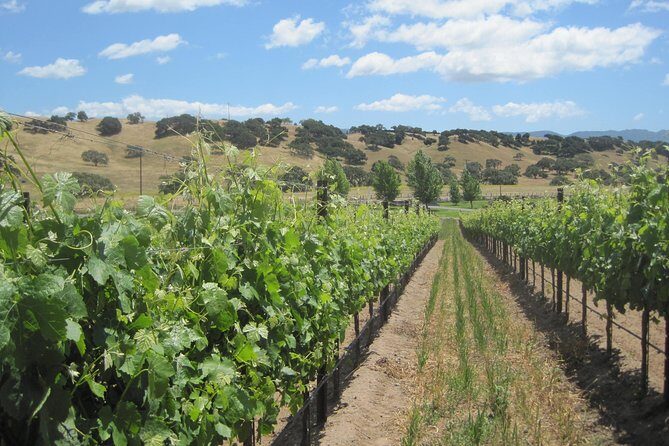 Wine Lovers Tour from Santa Barbara Area - Who Should Consider This Tour?