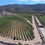 Wine Route including Tastings - Final Thoughts: Is It Worth It?