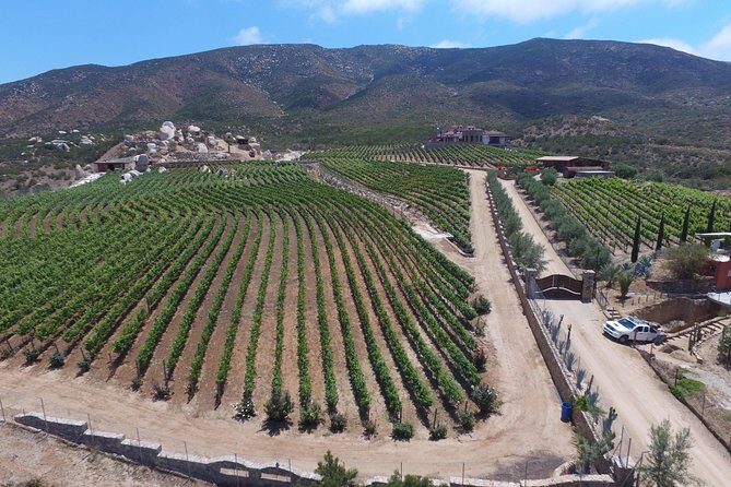 Wine Route including Tastings - Final Thoughts: Is It Worth It?