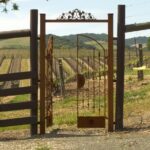 Wine Tasting Audio Tour - Paso Robles CA - Who Will Appreciate This Tour?