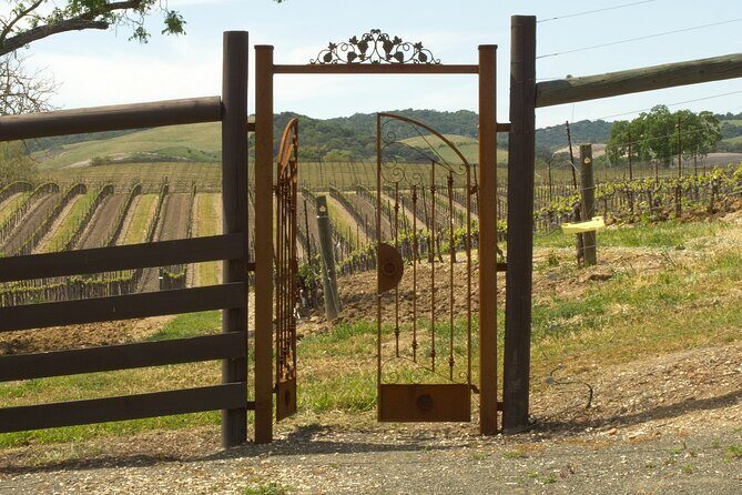 Wine Tasting Audio Tour - Paso Robles CA - Who Will Appreciate This Tour?