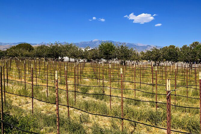 Wine Tasting Tour from Las Vegas with Snacks - What’s Included and What’s Not