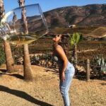 Wine tasting Valle de Guadalupe & Casa Frida - Transportation & Group Dynamics