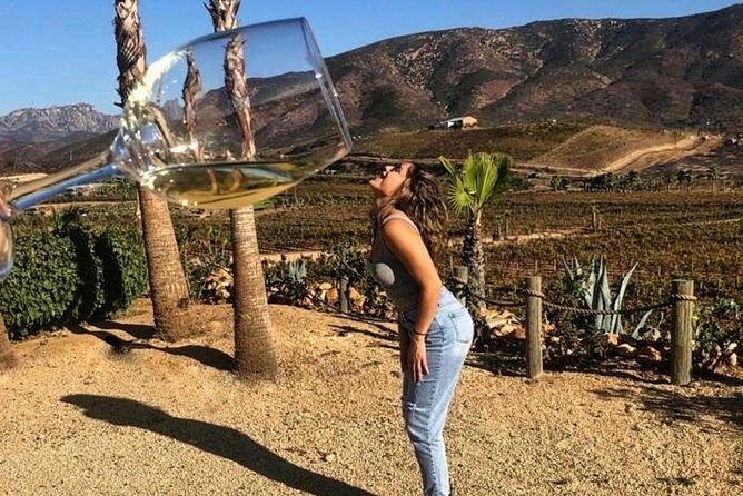 Wine tasting Valle de Guadalupe & Casa Frida - Transportation & Group Dynamics
