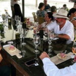Wine tour and tasting at Vinícola Tierra de Luz - The Vineyard and Viticultural Insights