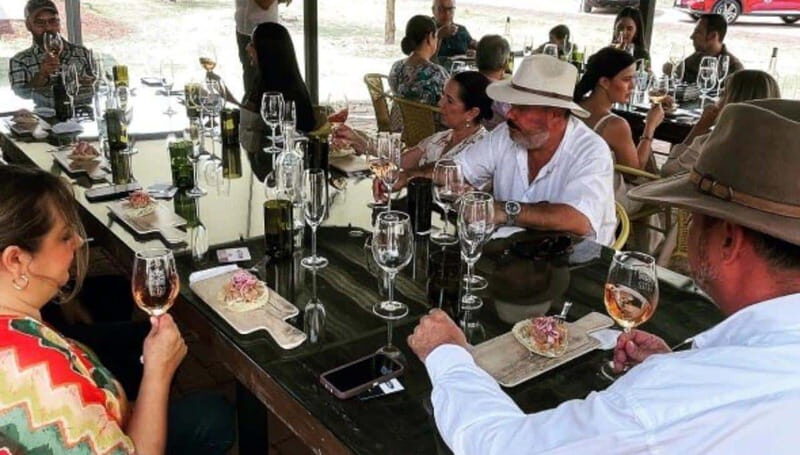 Wine tour and tasting at Vinícola Tierra de Luz - The Vineyard and Viticultural Insights