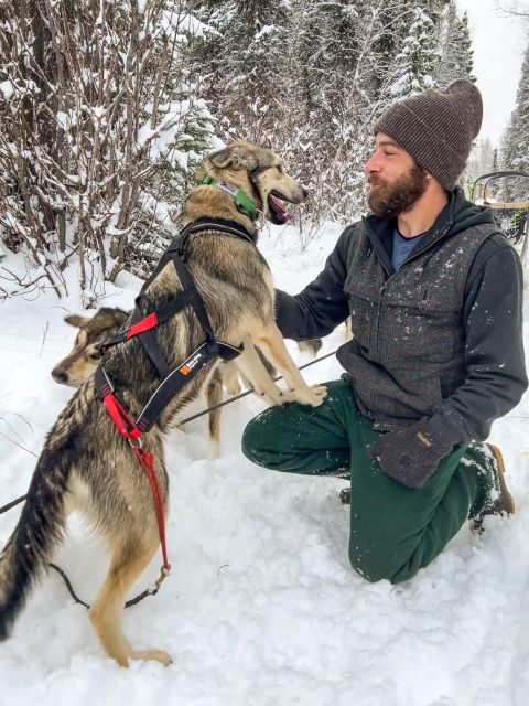 Winter Dog Sled Tour Day or Night Mush! - Authenticity and Unique Aspects