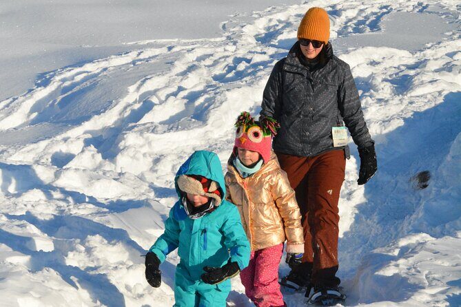 Winter Family Fun Day in Palmer Alaska - The Sum Up: A Cozy, Authentic Taste of Alaskas Winter