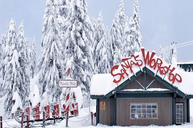 Winter Fun at North Shore Mountains- Grouse, Seymour & Cypress - Final Thoughts: Who Is This Tour Best For?