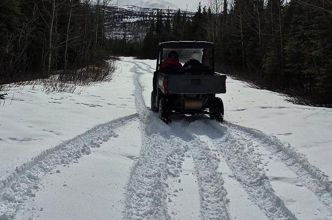 Winter Side by Side ATV Tour - Who Should Consider This Tour?