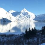 Winter - Wildlife & Turnagain Arm Tour - Final Thoughts: Is This Tour Right for You?