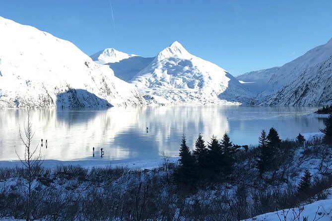 Winter - Wildlife & Turnagain Arm Tour - Final Thoughts: Is This Tour Right for You?