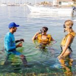 With Turtles, Shipwreck, Cenote, and Reef and Transport Included - An In-Depth Look at the Tour Experience